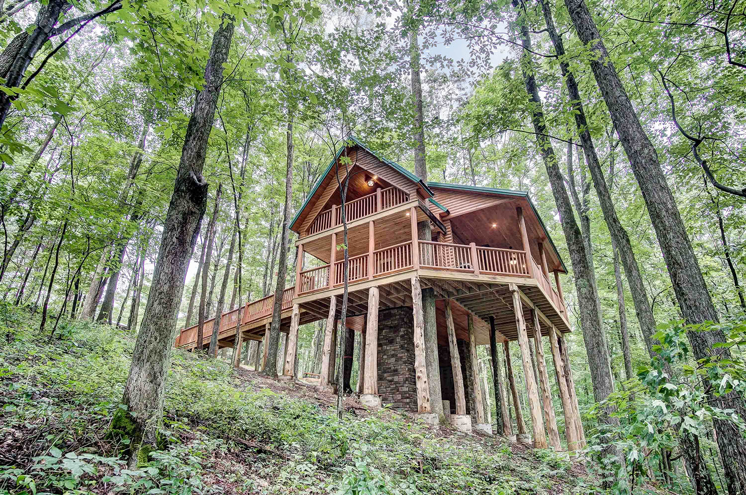 Home - Canopy Ridge Cabins