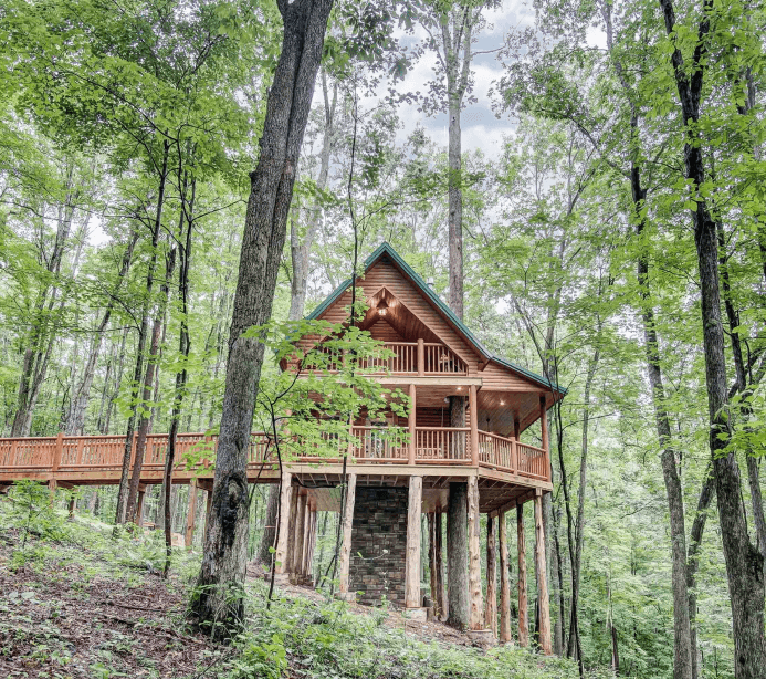 TREE House - Canopy Ridge Cabins