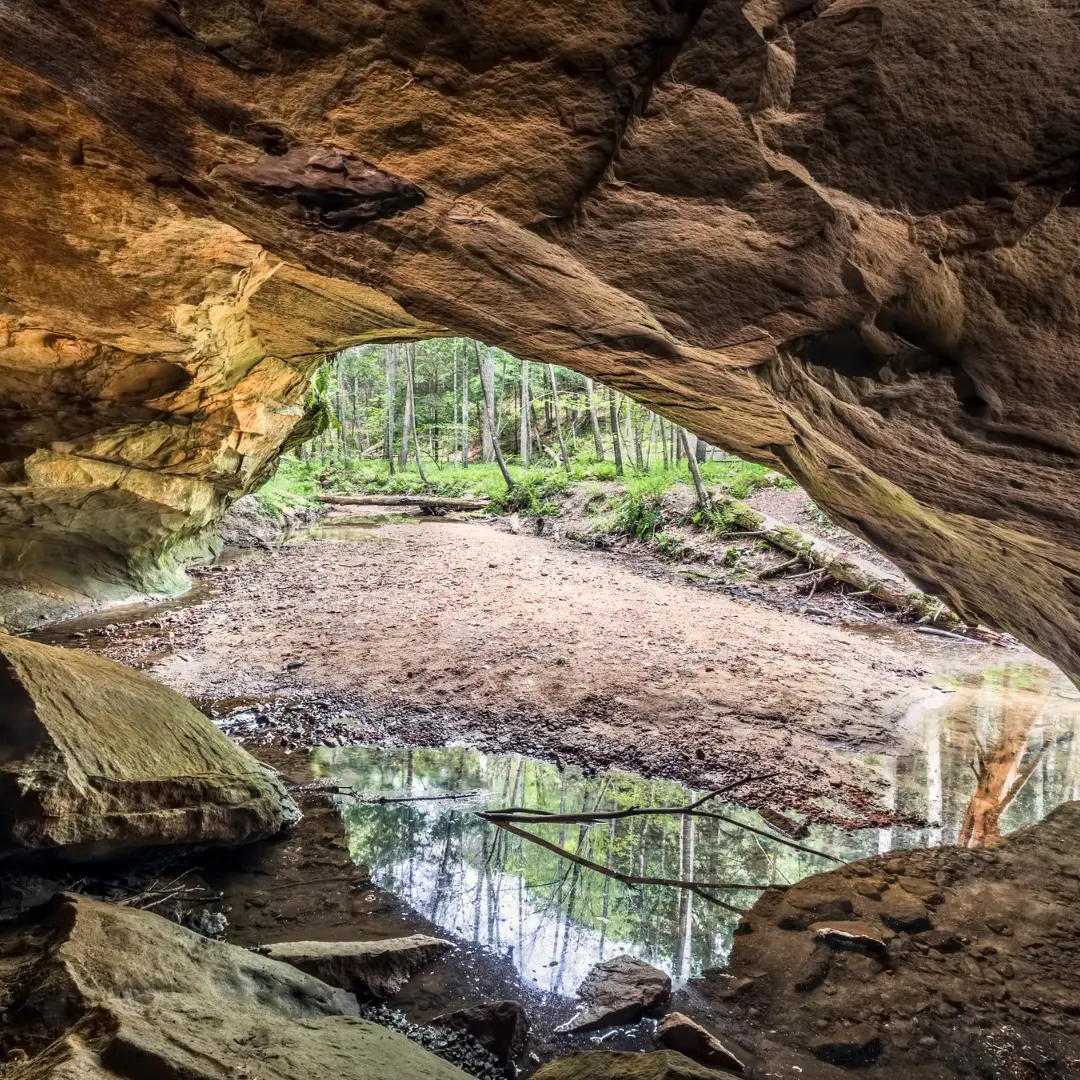 Blog - Canopy Ridge Cabins