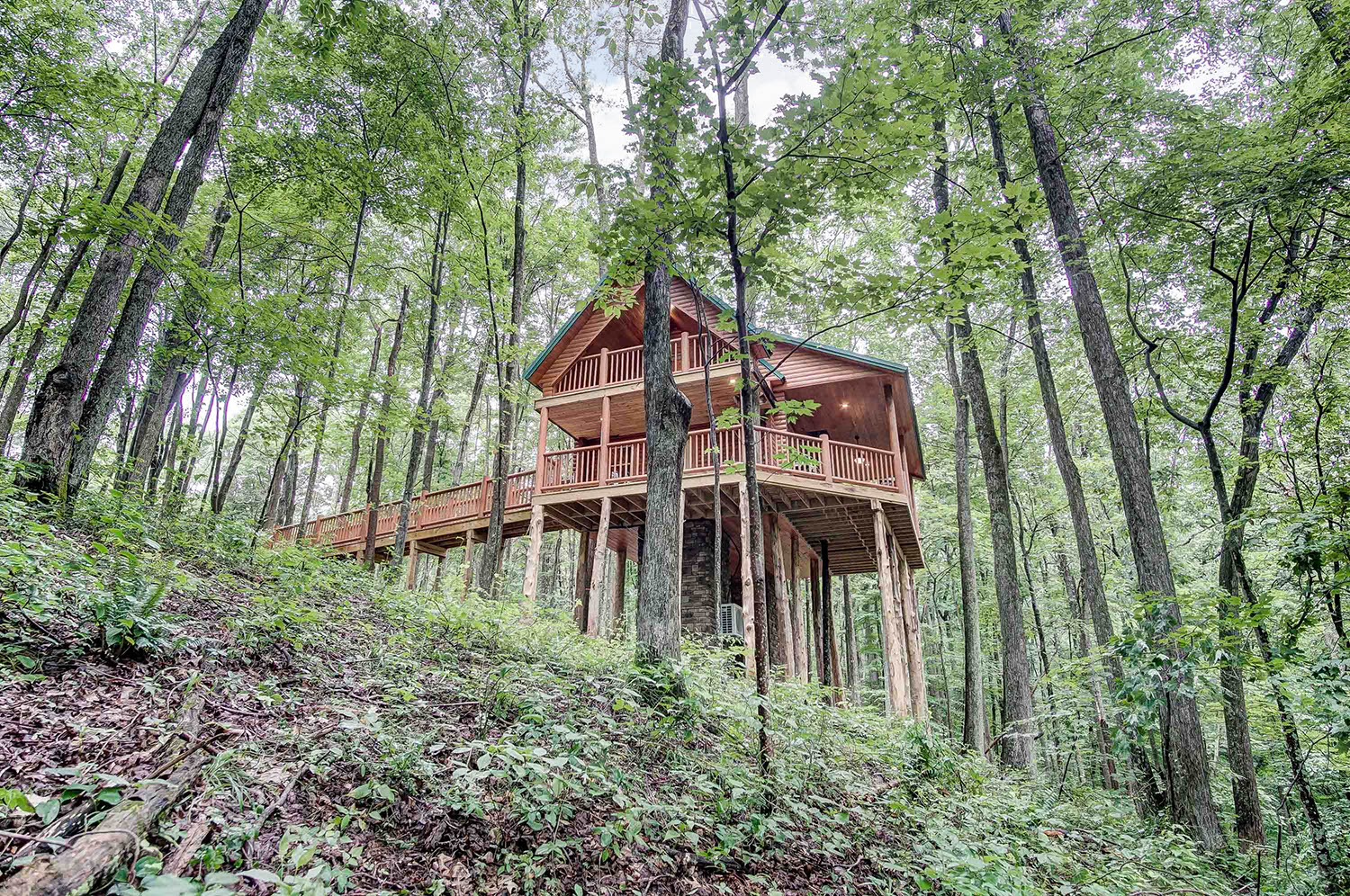 5 tips for Booking the Perfect Cabin - Canopy Ridge Cabins
